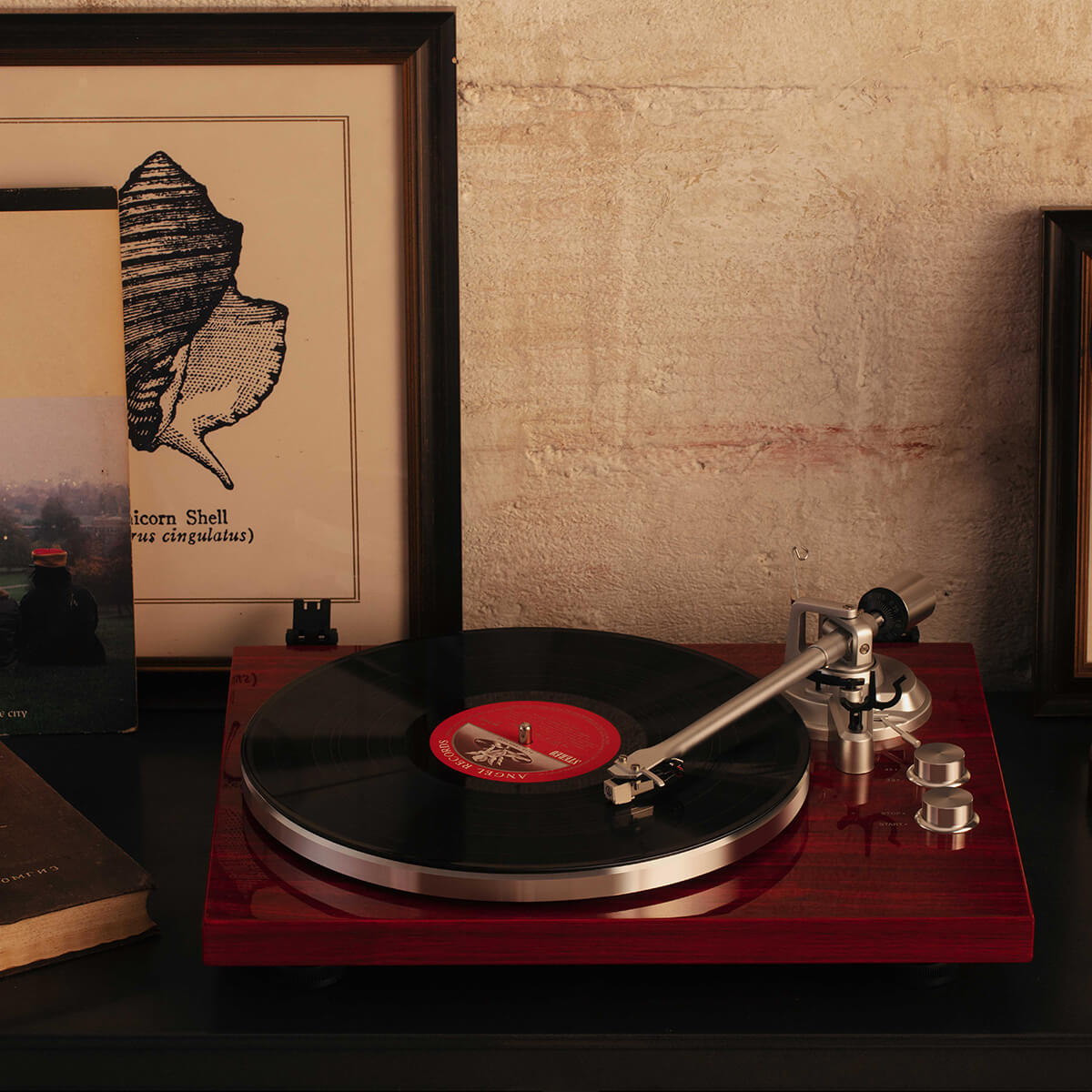 H005 Bluetooth Turntable Vinyl Record Player | Record Player | 1byone Audio